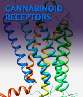 Research | Kendall Lab